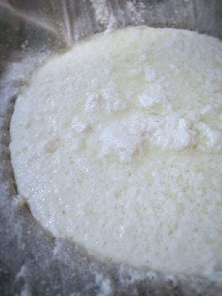 Making Cheese with The Romans - Columella's Cheese