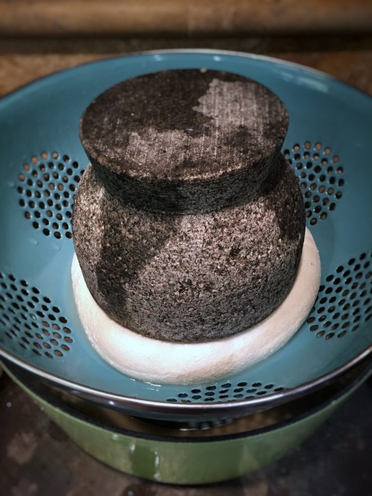 Making Cheese with The Romans - Columella's Cheese
