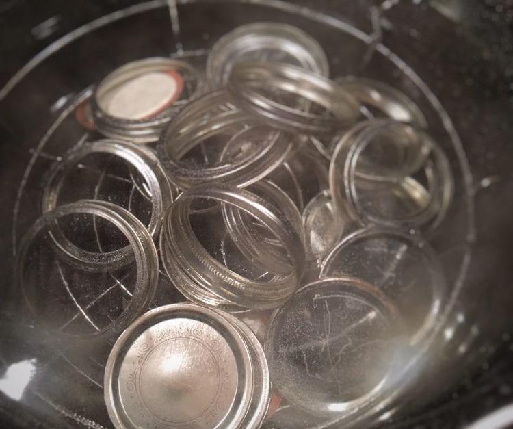 The Mediterranean Triad – Grapes, Grains and Olives: Cato's Olives in Brine